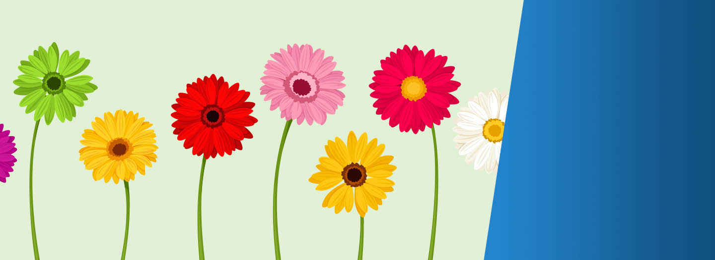 home [www.myeecu.org]